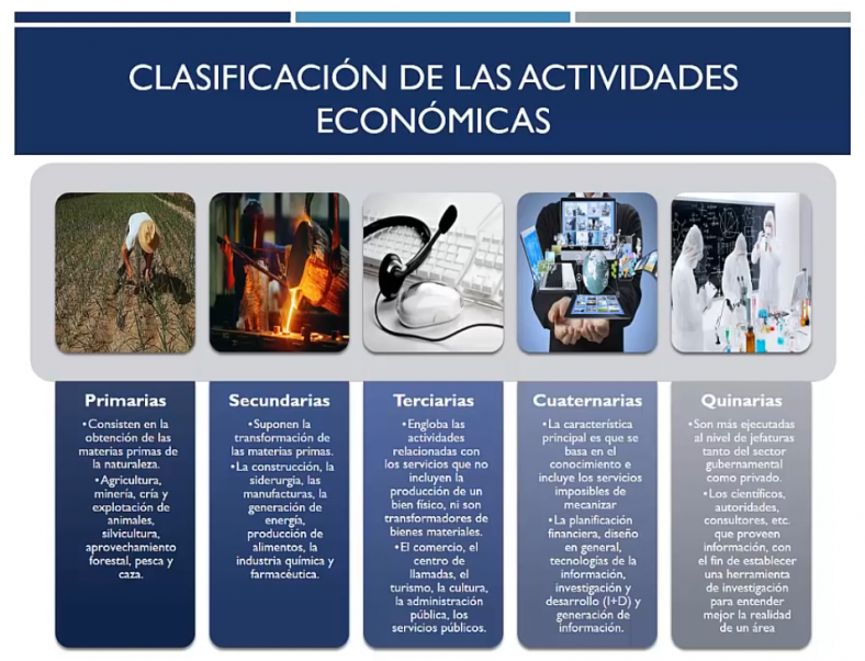 ¿Qué son las actividades económicas? | Líder del Emprendimiento