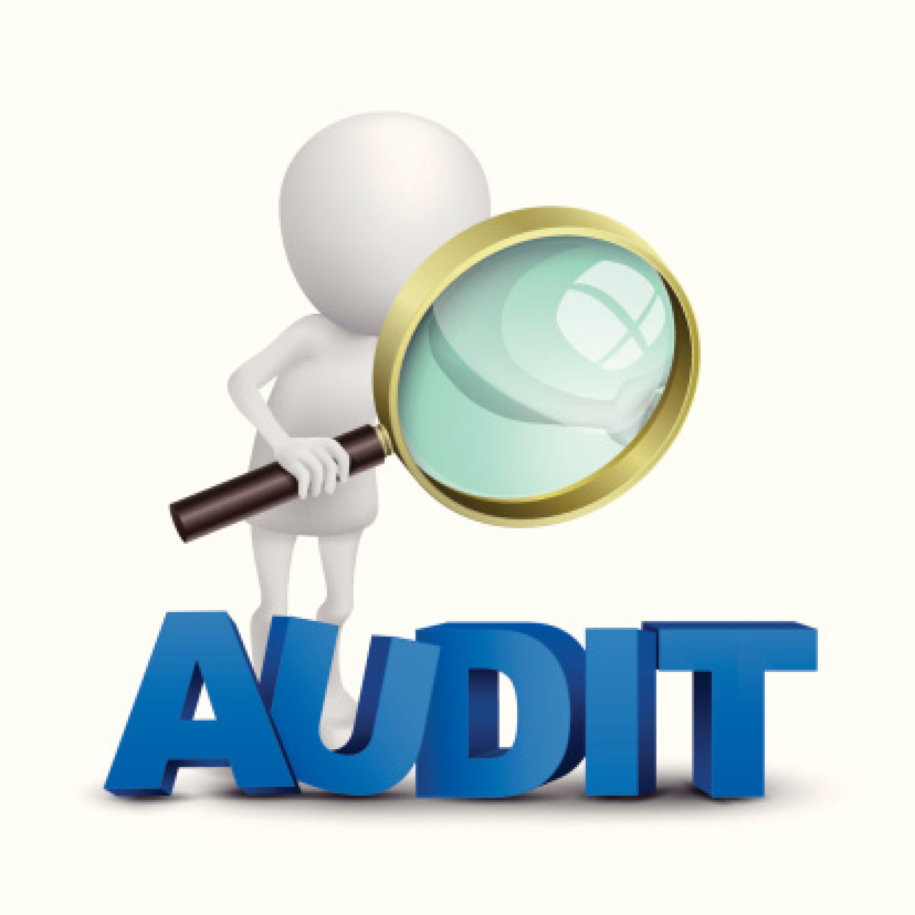 Qu Es Una Auditor a L der Del Emprendimiento Qu Es Una Auditor a L der Del Emprendimiento