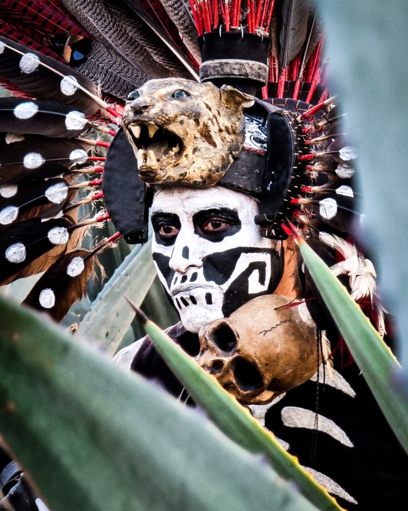 Tradiciones y costumbres de México | Líder del Emprendimiento
